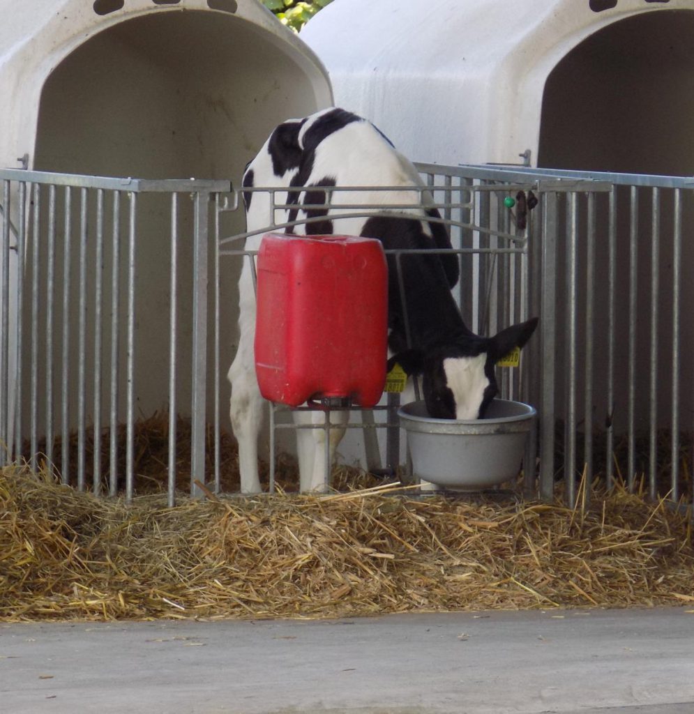 22. August 2016: Staatsminister Thomas Schmidt zeichnet ...